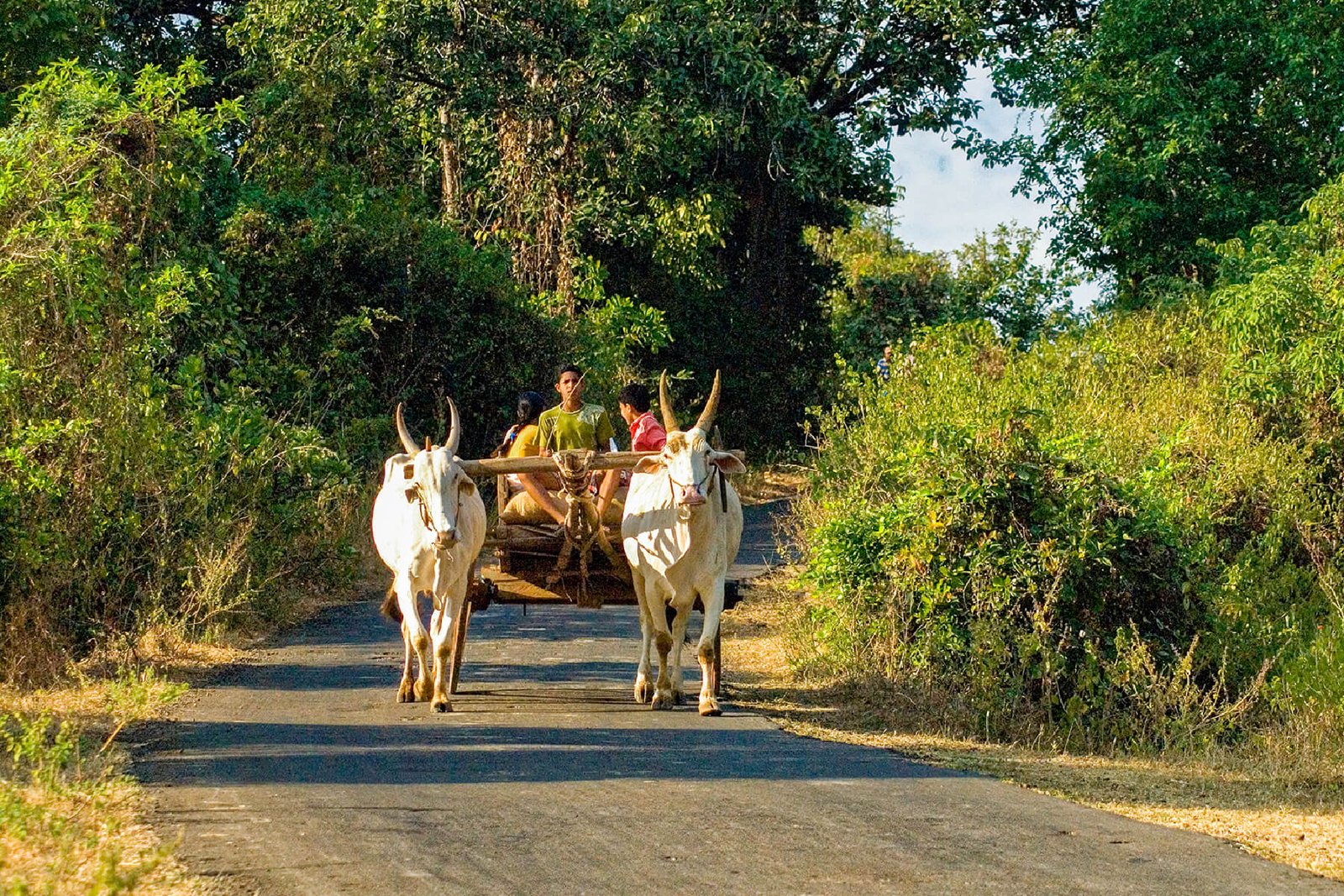 Dapoli, beaches near pune, beaches in konkan, long weekend trips